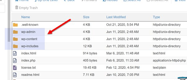 Fixing The Installation Failed Could Not Create Directory In Wordpress